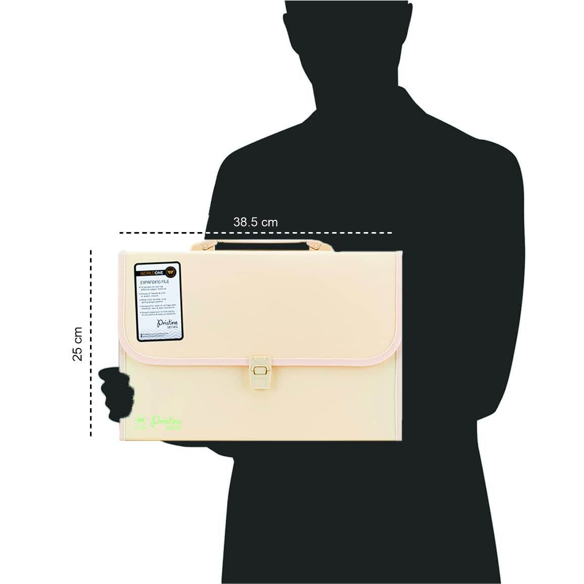 Worldone Expanding File Folder with Handle & Lock, 13 Indexed Pocket f ...