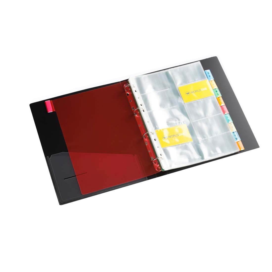 Worldone A4 Size Business Card Folder with 500 Transparent Pockets & P ...